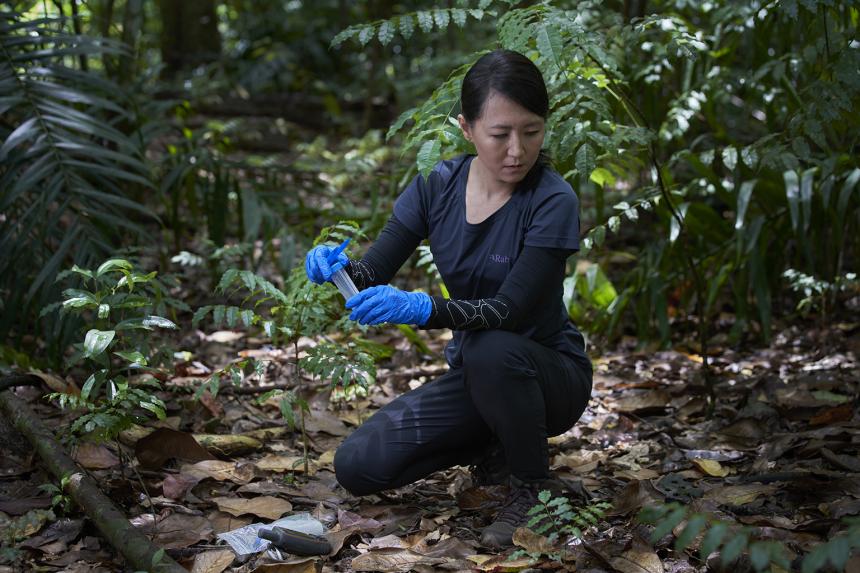 How her work in saving monkeys is protecting a part of Singapore’s heritage | The Straits Times